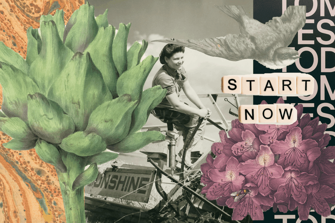 Mejor hecho que perfecto - Protea Estudio